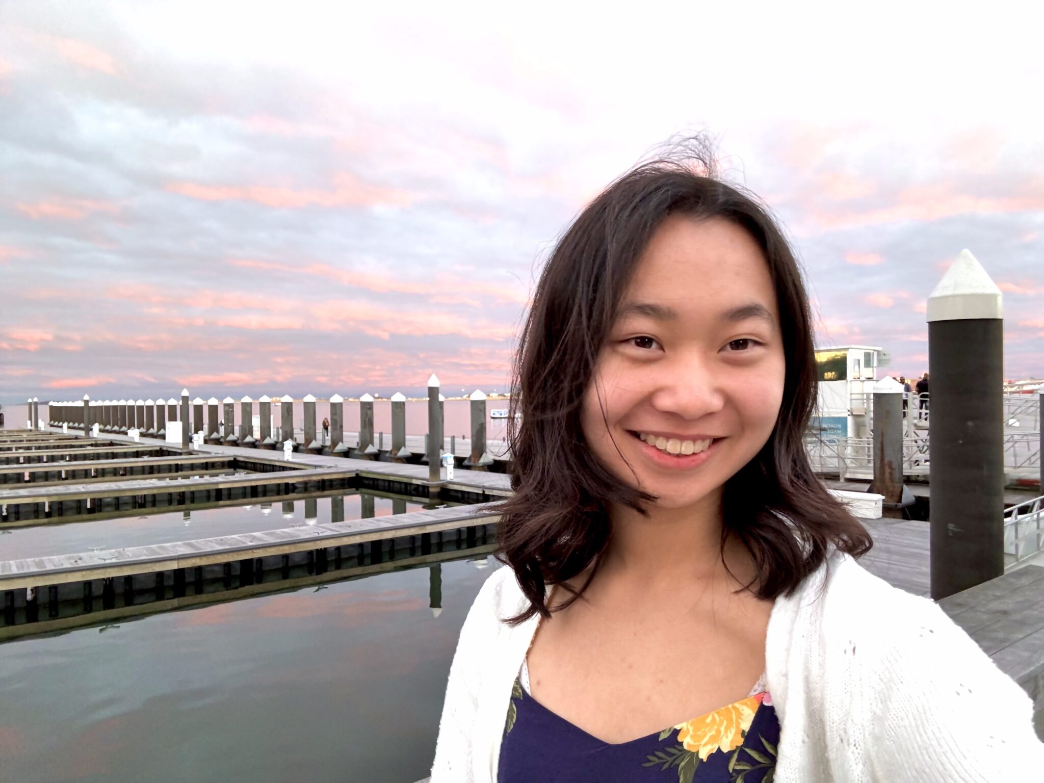 Ava Chen, AFTERCRASH IN THE GARDEN – Chestnut Review